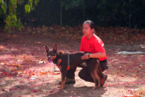 CARDA – California Rescue Dog Association