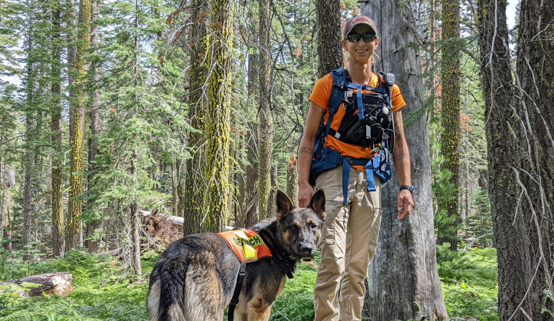 CARDA – California Rescue Dog Association