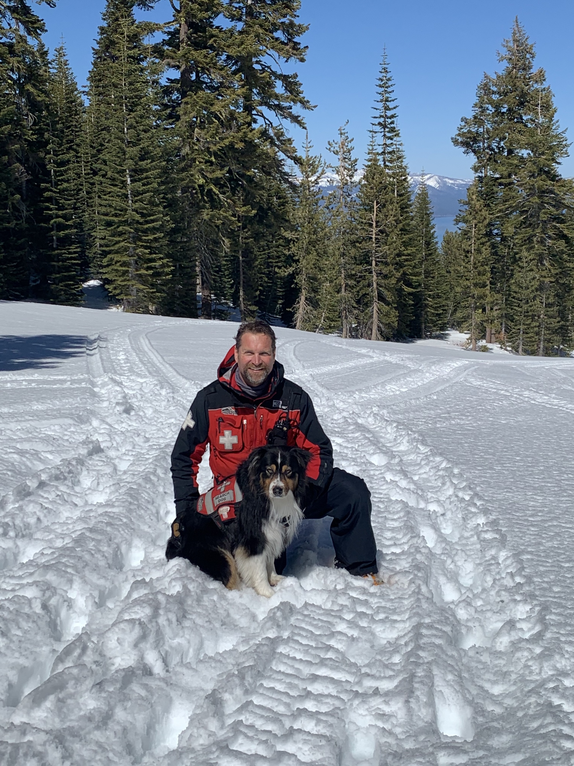 Certification News: “Wilson” and David Haraburda – CARDA