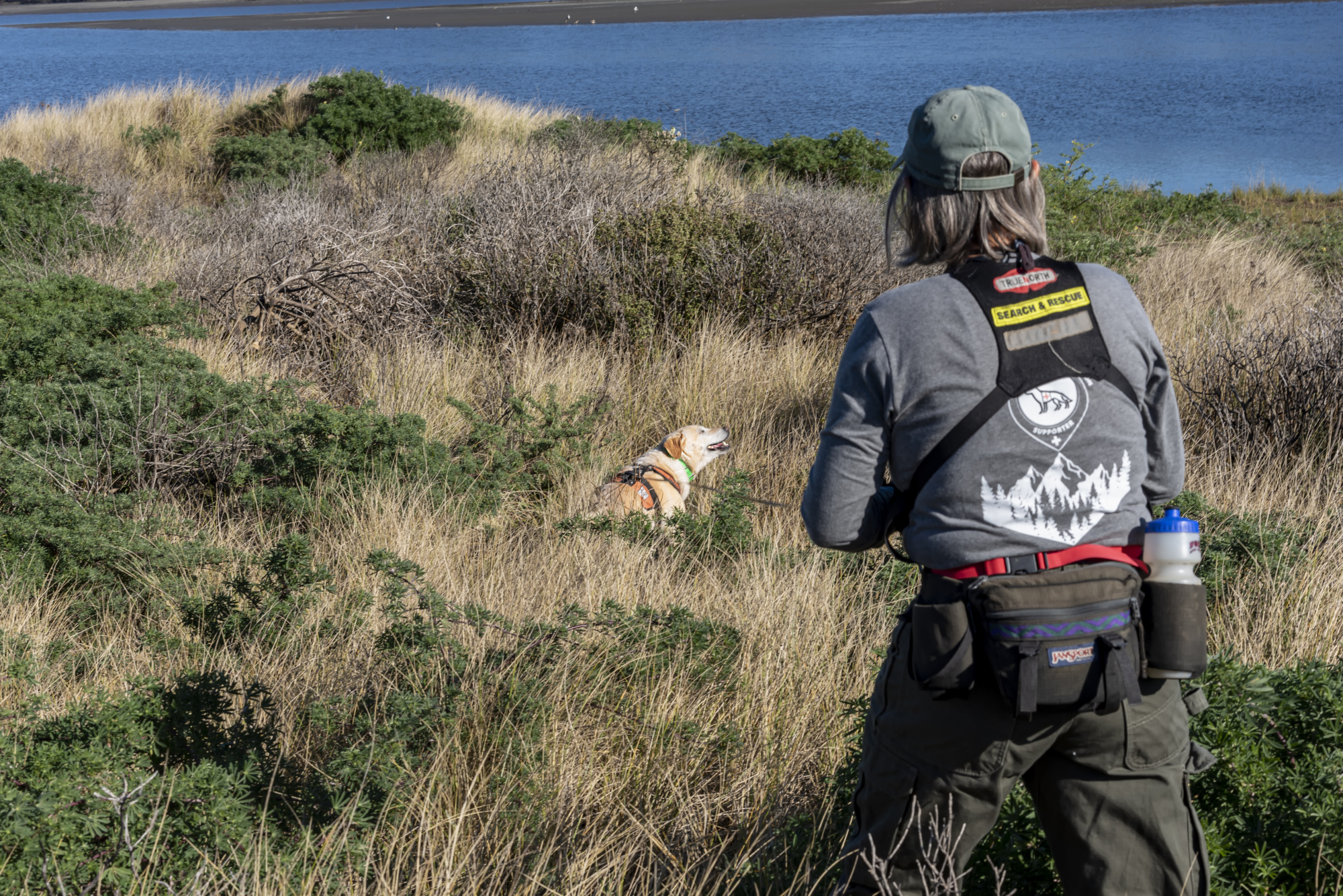 Certification News: “Gray-Sea” and Jan Friedrichsen – CARDA